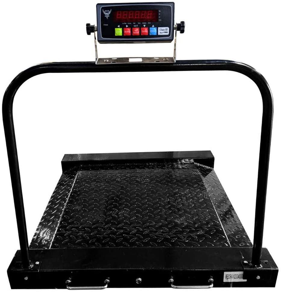 PEC Wheelchair Scale/Digital Medical Scale with Dual Ramp, Side Handle ...